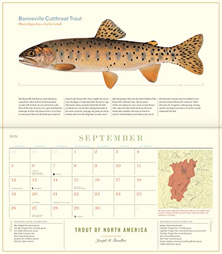 Trout of North America Wall Calendar 2021