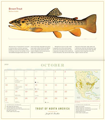 Trout of North America Wall Calendar 2021