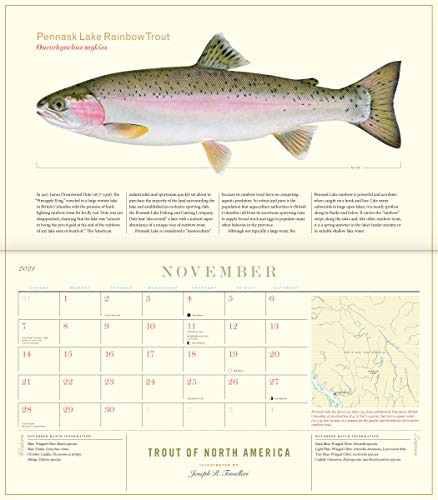 Trout of North America Wall Calendar 2021