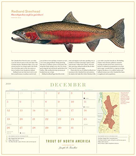 Trout of North America Wall Calendar 2021