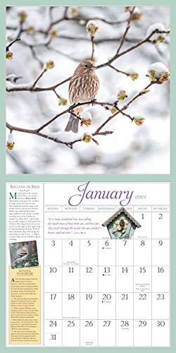Audubon Birds in the Garden Wall Calendar 2021