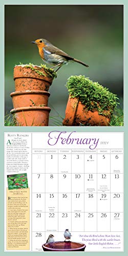 Audubon Birds in the Garden Wall Calendar 2021