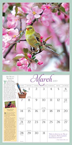 Audubon Birds in the Garden Wall Calendar 2021