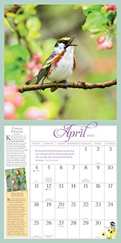 Audubon Birds in the Garden Wall Calendar 2021