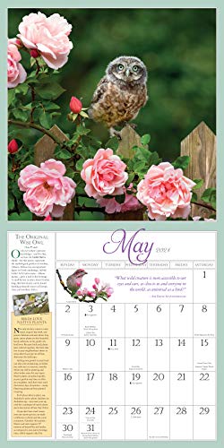 Audubon Birds in the Garden Wall Calendar 2021