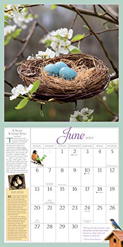 Audubon Birds in the Garden Wall Calendar 2021
