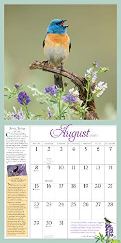 Audubon Birds in the Garden Wall Calendar 2021
