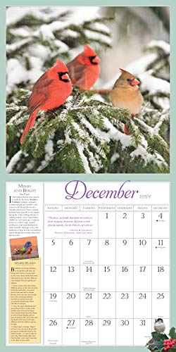 Audubon Birds in the Garden Wall Calendar 2021