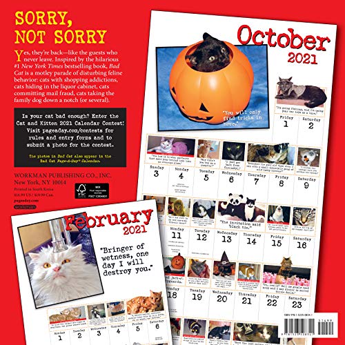 Bad Cat Wall Calendar 2021