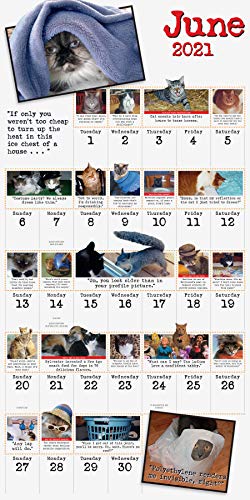 Bad Cat Wall Calendar 2021