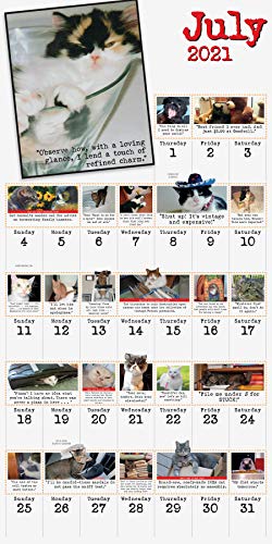 Bad Cat Wall Calendar 2021