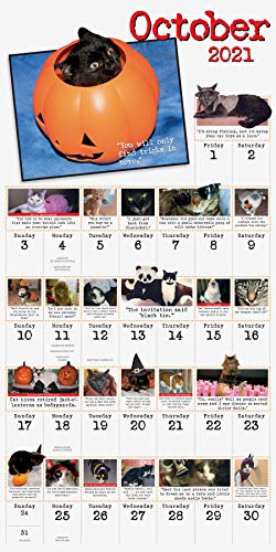 Bad Cat Wall Calendar 2021