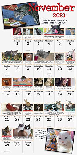 Bad Cat Wall Calendar 2021