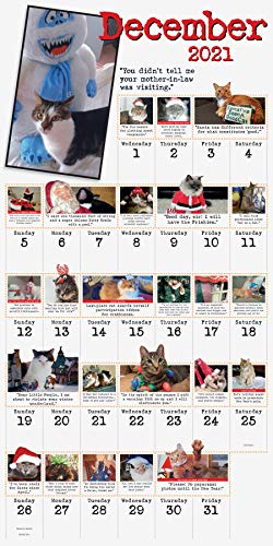 Bad Cat Wall Calendar 2021