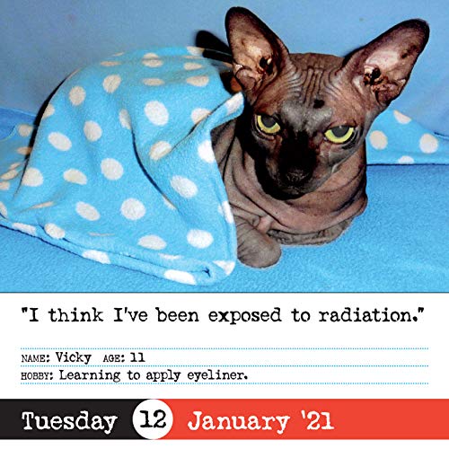 Bad Cat Page-A-Day Calendar 2021
