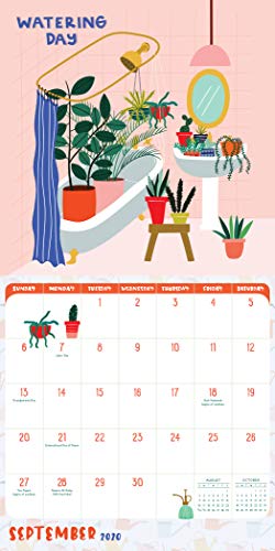Crazy Plant Lady Mini Wall Calendar 2020