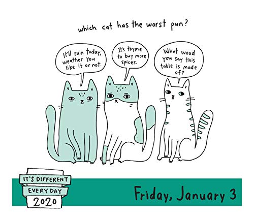 It's Different Every Day Page-A-Day Calendar 2020