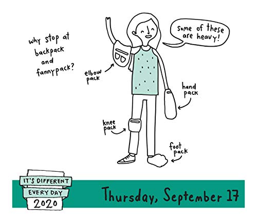 It's Different Every Day Page-A-Day Calendar 2020