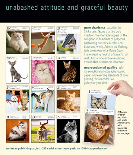 Cat Page-A-Day Gallery Calendar 2020