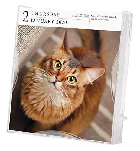 Cat Page-A-Day Gallery Calendar 2020