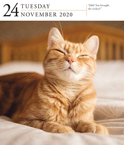 Cat Page-A-Day Gallery Calendar 2020