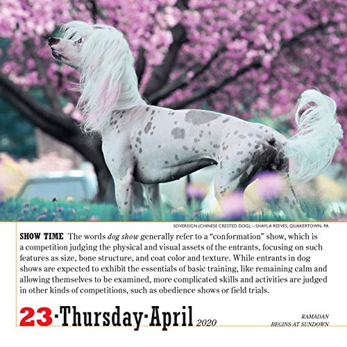 365 Dogs Page-A-Day Calendar 2020