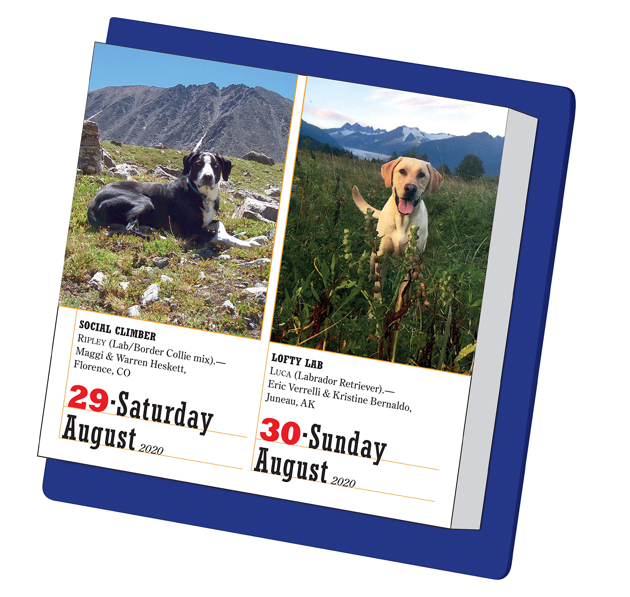 365 Dogs Page-A-Day Calendar 2020