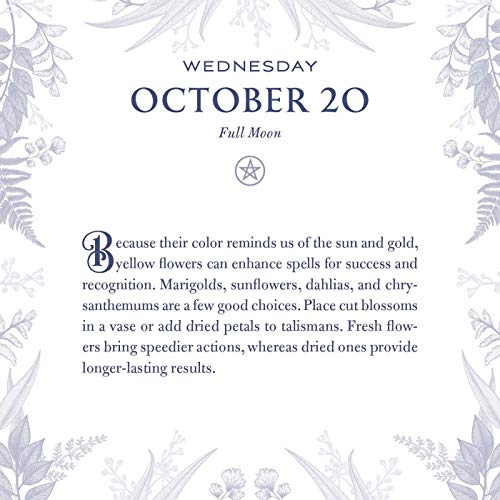 A Witch's Year 2021 Daily Calendar: 365 Days of Witchcraft Wisdom, Lore, and Magick