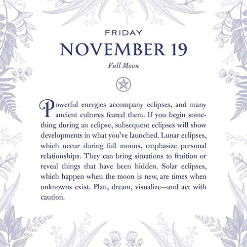 A Witch's Year 2021 Daily Calendar: 365 Days of Witchcraft Wisdom, Lore, and Magick
