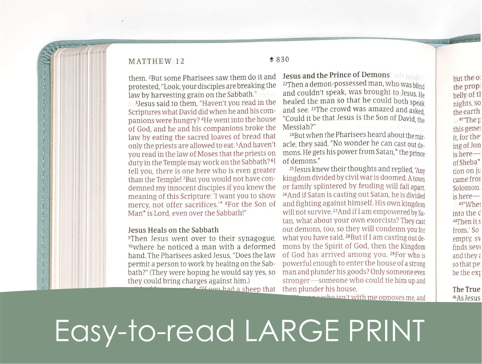 NLT Large Print Thinline Reference Bible, Filament Enabled (LeatherLike, Floral Leaf Teal, Red Letter): Includes Free Access to the Filament Bible App ... Notes, Devotionals, Worship Music, and Video