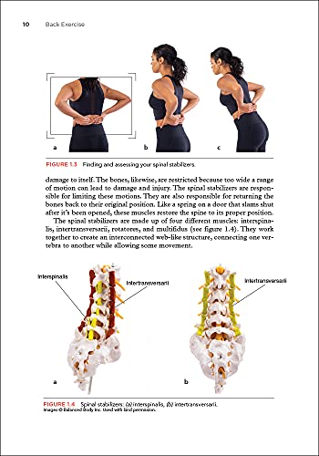 Back Exercise: Stabilize, Mobilize, and Reduce Pain