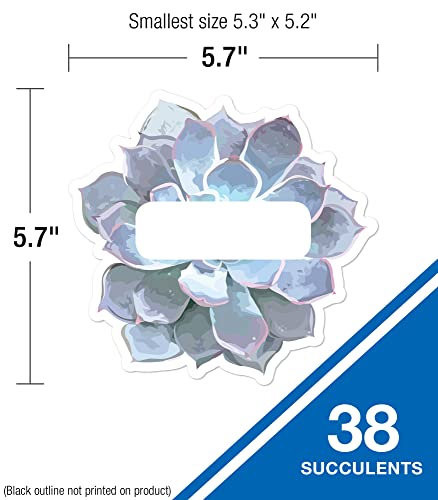 Schoolgirl Style - Simply Stylish | When We Learn We Grow Bulletin Board Set