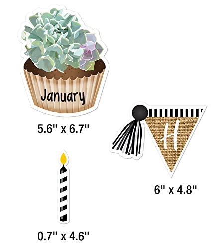 Schoolgirl Style Birthday Bulletin Board Set, Simply Stylish Classroom Decorations, 79 Pieces