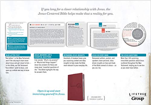 Jesus-Centered Bible NLT, Cranberry