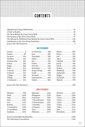 Jesus-Centered Bible NLT, Cranberry