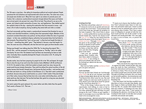Jesus-Centered Bible NLT, Cranberry