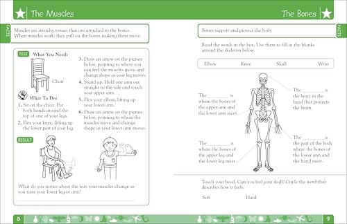 DK Workbooks: Science, First Grade: Learn and Explore
