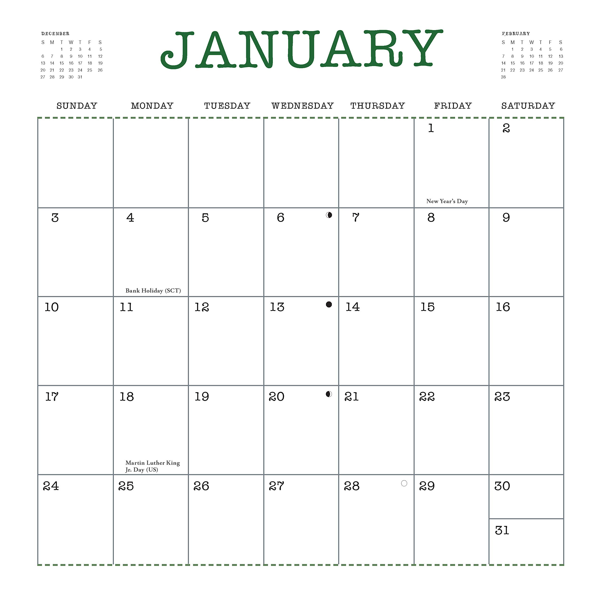 I Could Pee on This 2021 Wall Calendar: (Funny Cat Calendar, Monthly Calendar with Hilarious Kitty Pictures and Poems)