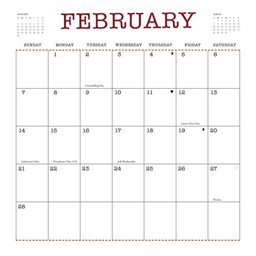I Could Pee on This 2021 Wall Calendar: (Funny Cat Calendar, Monthly Calendar with Hilarious Kitty Pictures and Poems)