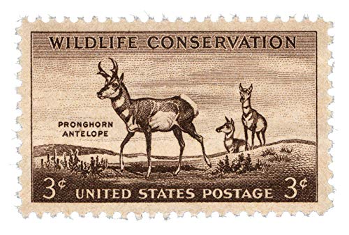 Mailbox Notecards: 20 postcards featuring stamps from the Smithsonian's National Postal Museum (Novelty Mailbox Stationery Card Set, Snail Mail Lover Gift)