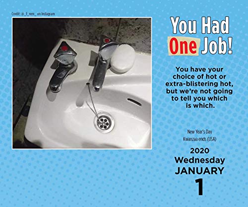 You Had One Job 2020 Day-to-Day Calendar