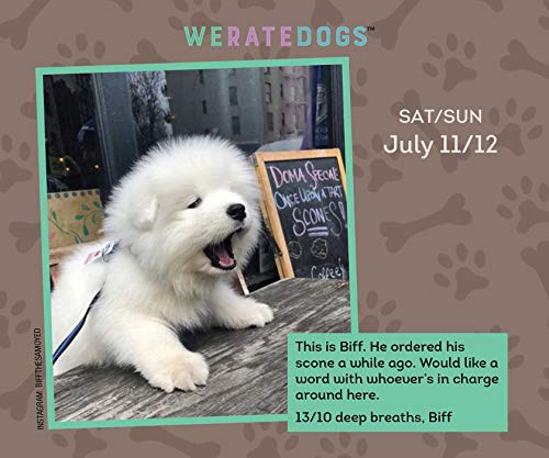 WeRateDogs 2020 Day-to-Day Calendar