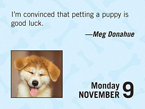Puppies 2020 Mini Day-to-Day Calendar
