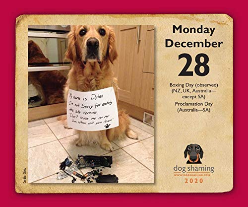 Dog Shaming 2020 Day-to-Day Calendar