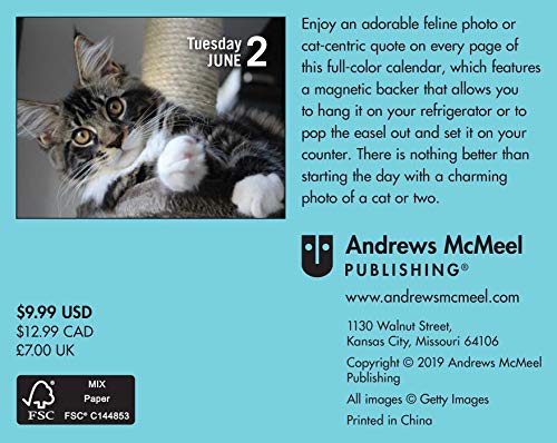 Cats 2020 Mini Day-to-Day Calendar