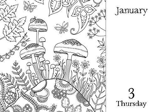 Johanna Basford 2019 Coloring Day-to-Day Calendar