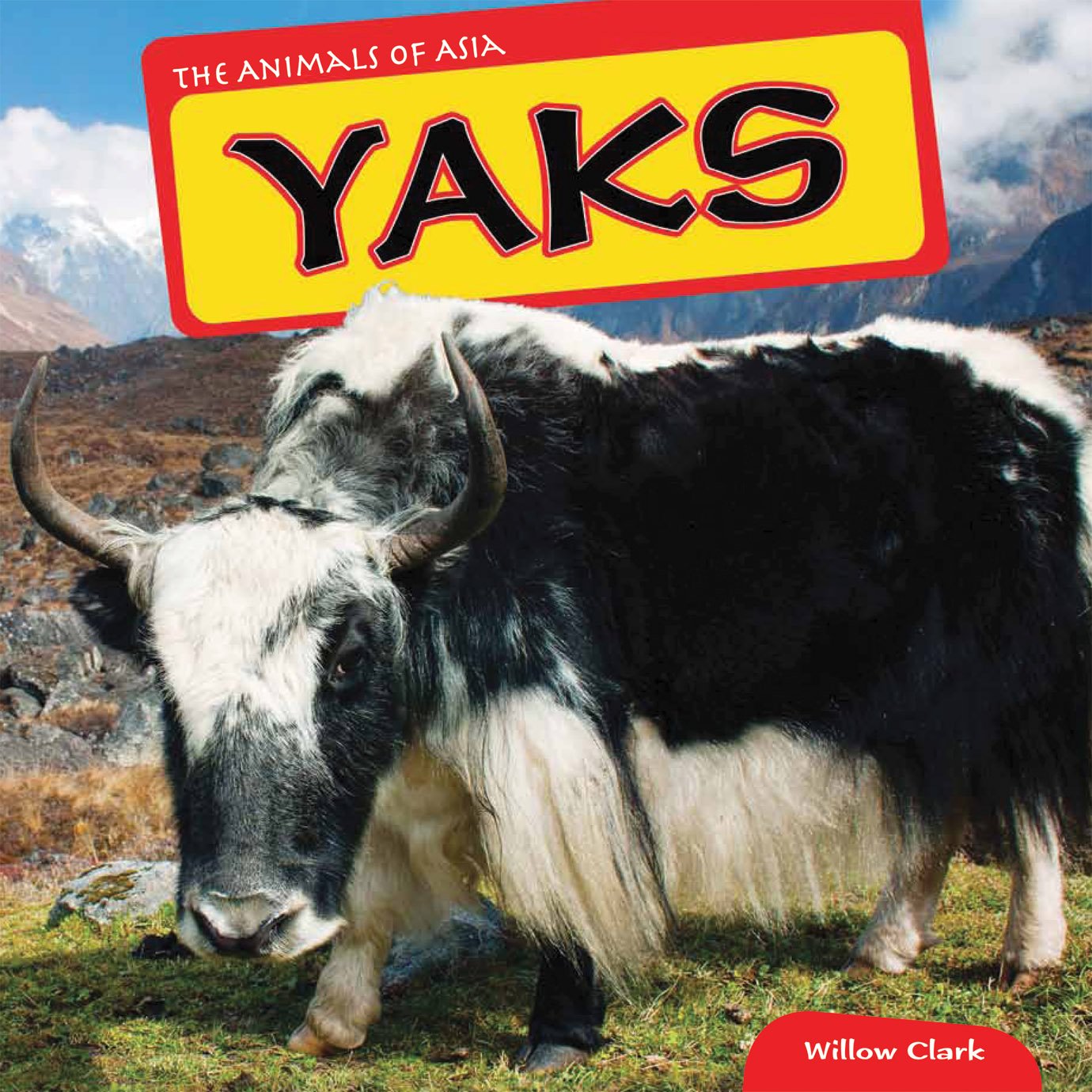 Yaks (The Animals of Asia)