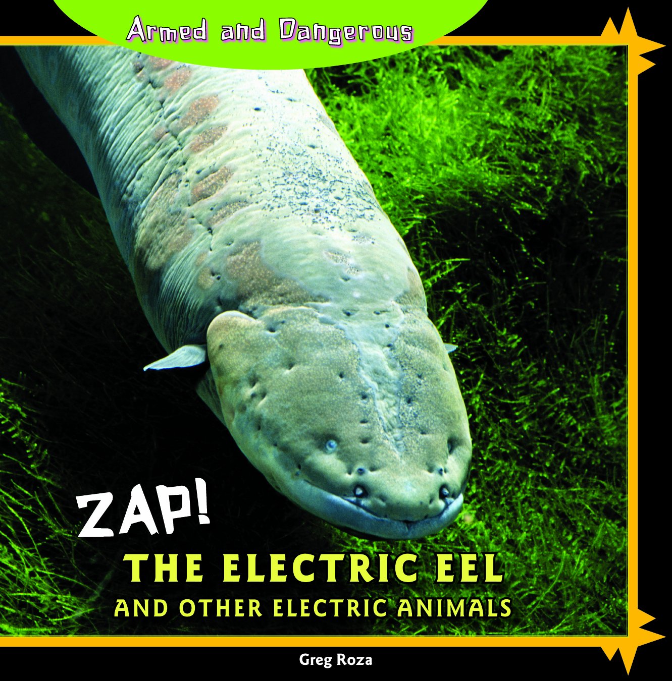 Zap!: The Electric Eel and Other Electric Animals (Armed and Dangerous)