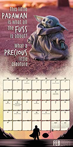 Star Wars Mandalorian the Child 2021 Calendar