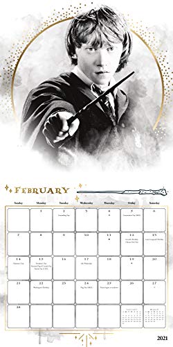 Harry Potter 2021 Calendar: Includes 2 Posters